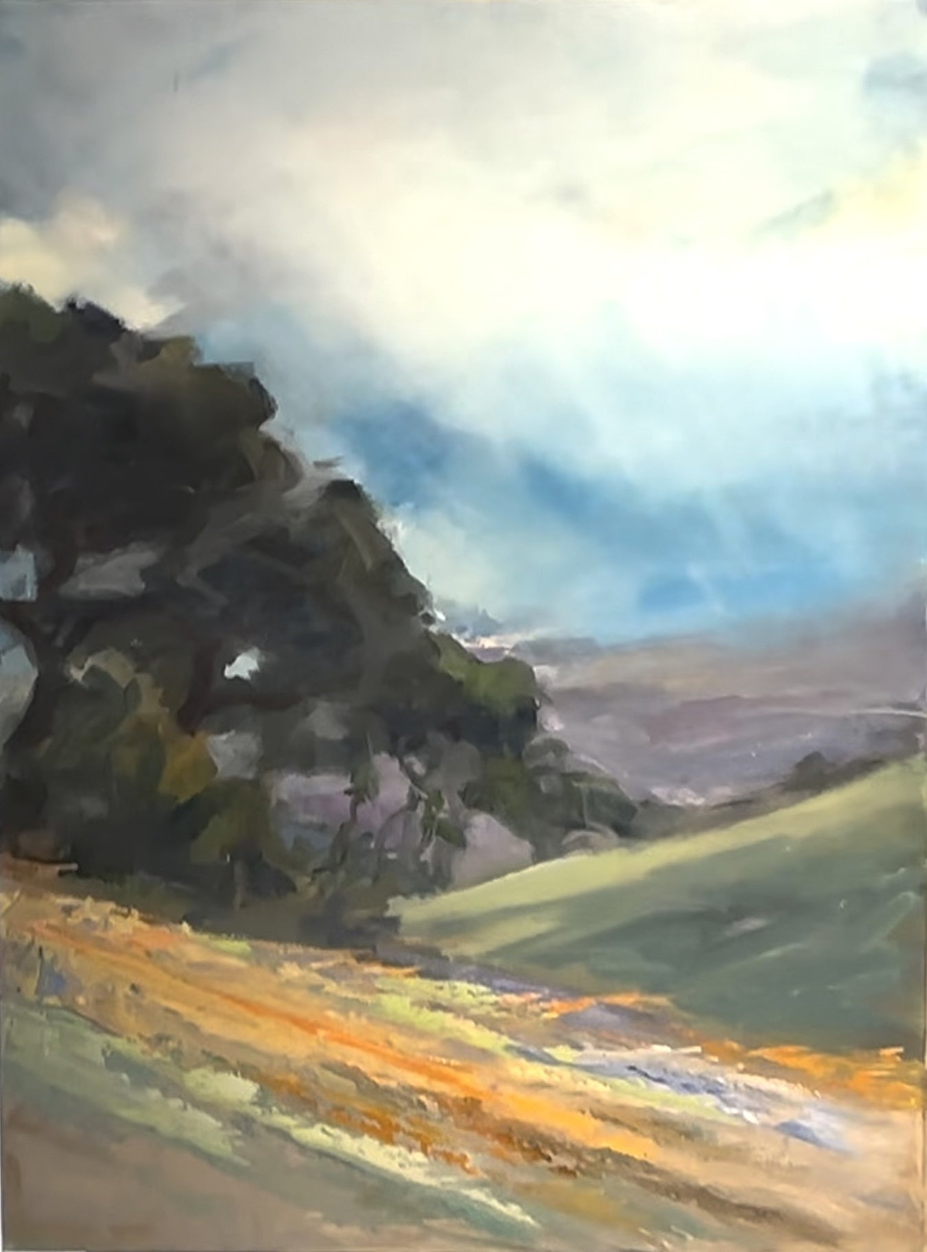California in Color – Lilli-Anne Price Fine Art